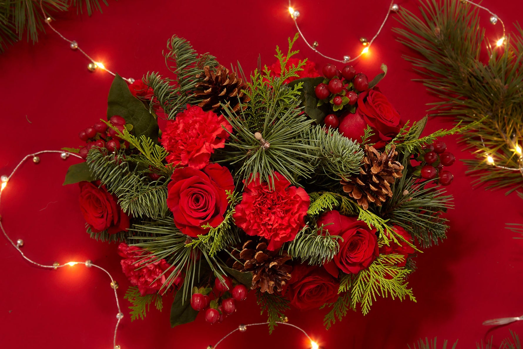 Christmas Flowers Delivery | Albertsons–Page 3–Albertsons Flowers