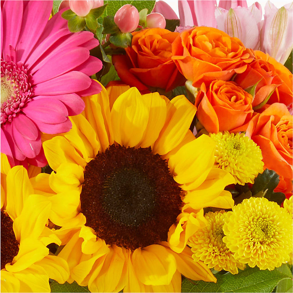Nationwide Same-Day Delivery | Albertsons Floral–Albertsons Flowers